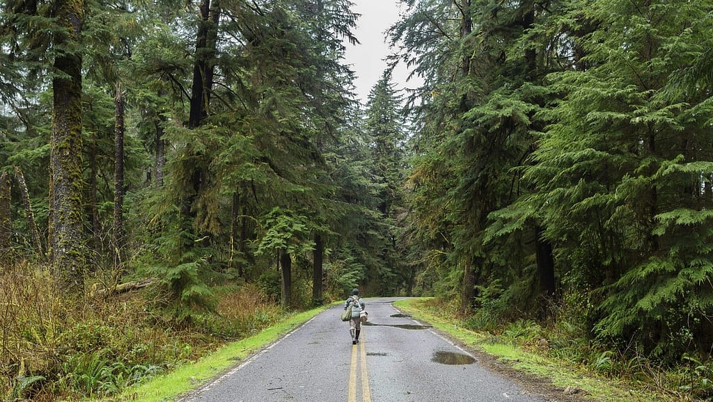 Gordon Hempton: Recording And Saving Natural Silence | Goodness Exchange