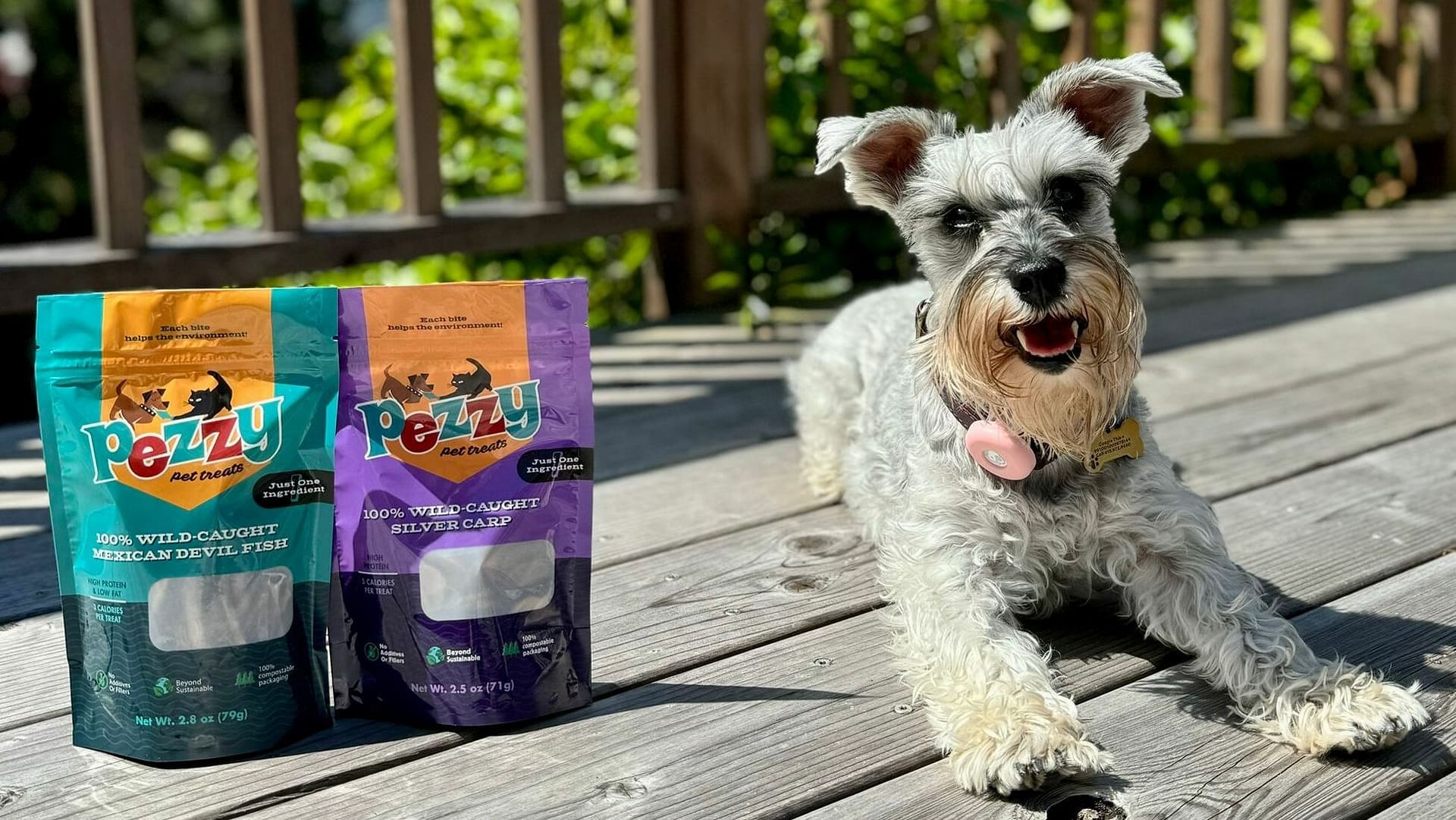 Pet Treats Made From Invasive Fish Solve Major Problem Goodness Exchange