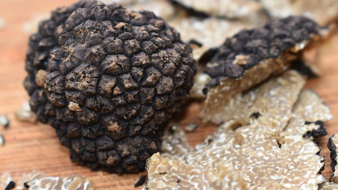 Hunting For Truffles In The Italian Hills | Goodness Exchange